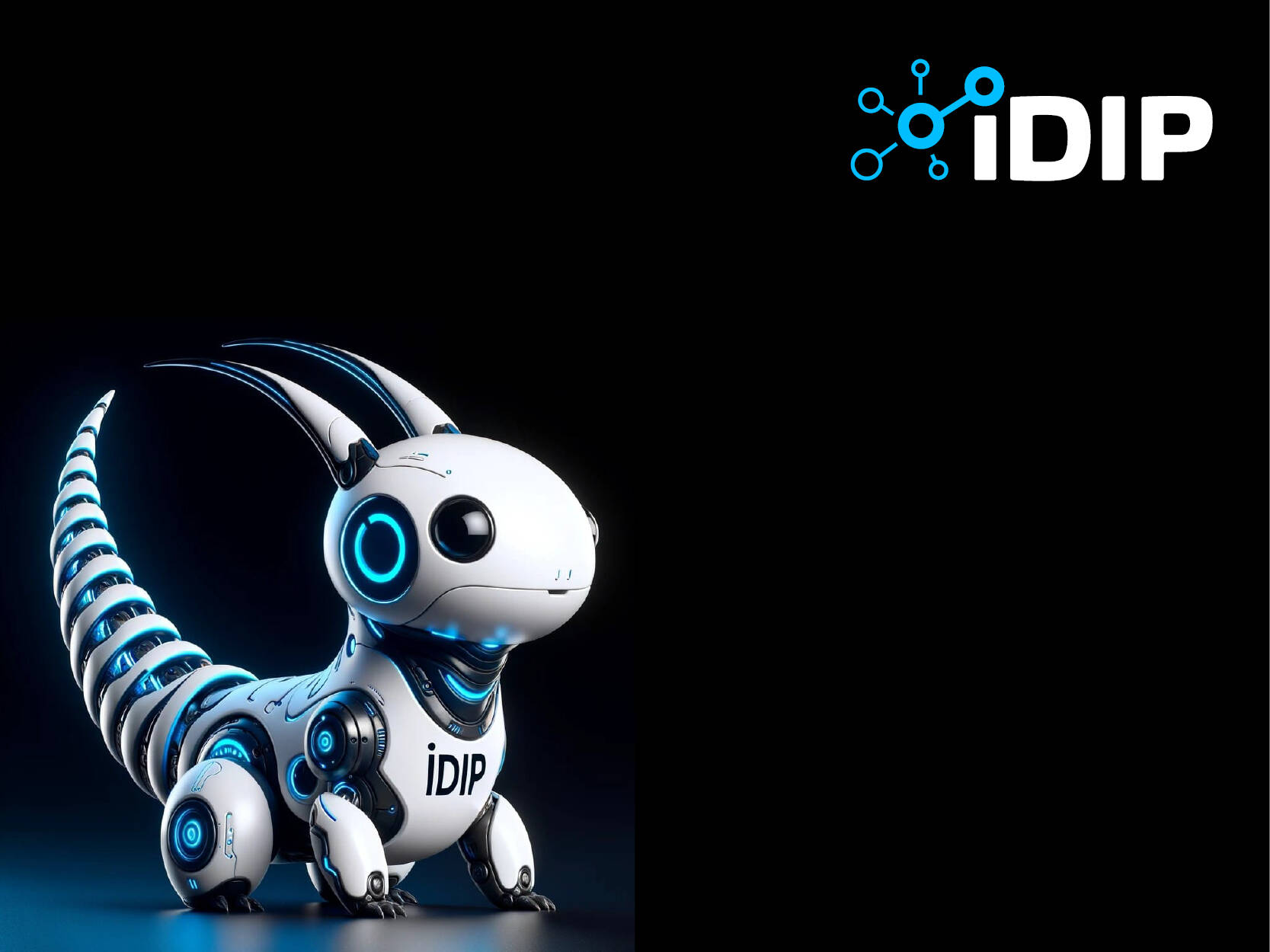 iDIP Connect 2025: Exclusive iDIP networking event on May 7 - iDIP Solution