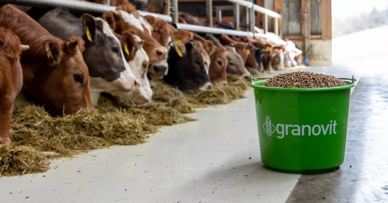 Erfolgsgeschichte Granovit AG | optimaler Futtermitteleinsatz - iDIP ...